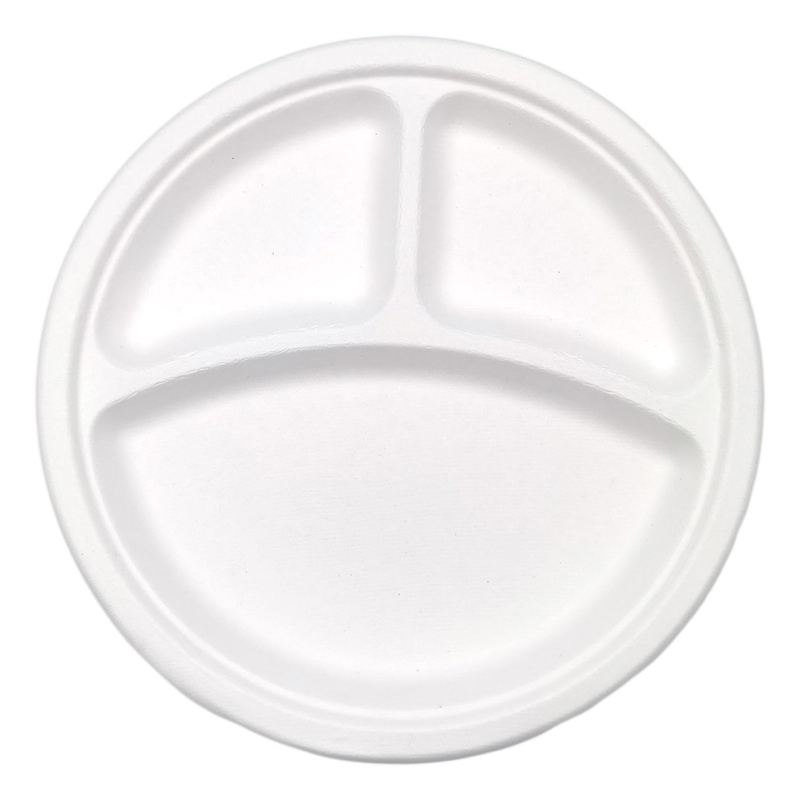 Disposable 9" 10" Bagasse Pulp Round Plate - HSQY PLASTIC GROUP