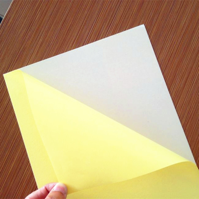 Hard And Reusable, Multi-utility Plastic PVC Mahni innghahna Photobook ...