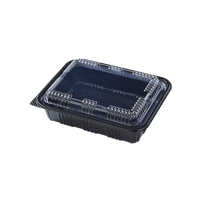 Pudełka bento prostokątne z pokrywkami PS - HSQY Plastic Group