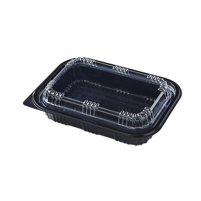 PS Rectangular Bento Boxes with Lids - HSQY Plastic Group